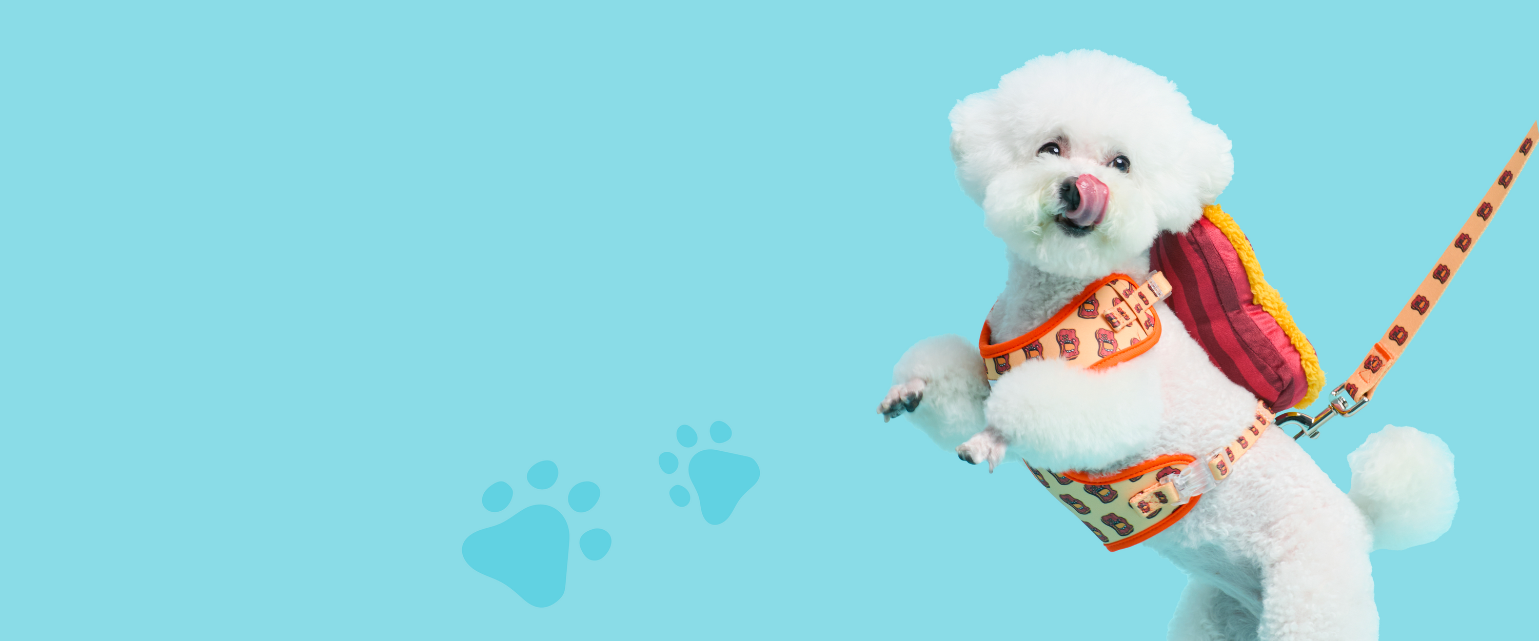 Ruarua Backpack Harness, Stylish Pet Accessories UK - RuaRua